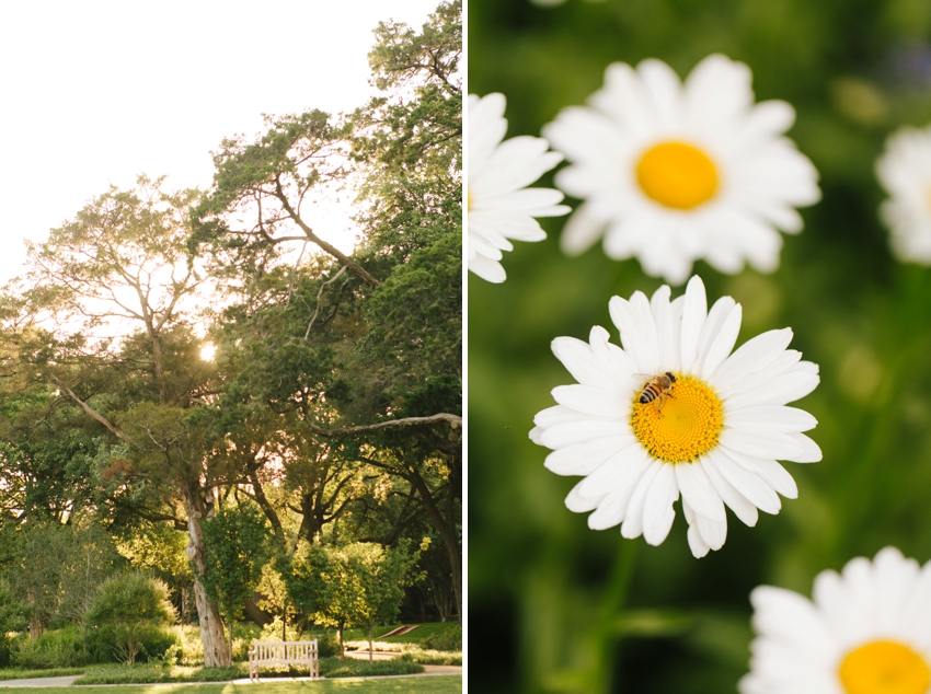 Charlton + Meredith | Proposal at Flippen Park, Dallas, TX | Tyler ...